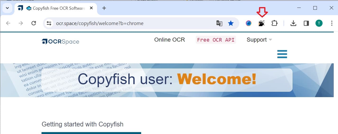 Copyfish Chrome Eklentisi ile Resimlerdeki Metinleri Anında Kopyala!